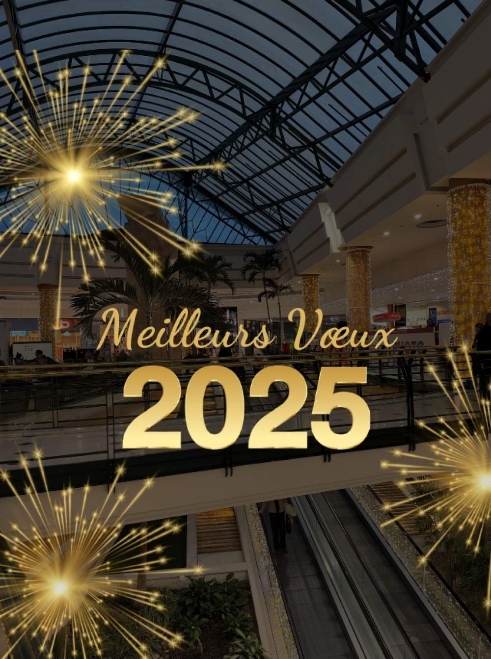 Centre commercial Paridis à Nantes, 68 boutiques